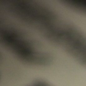 ¿Tienes un dólar Sacagawea del 2000? Podría valer $7,000 - Solo Dinero