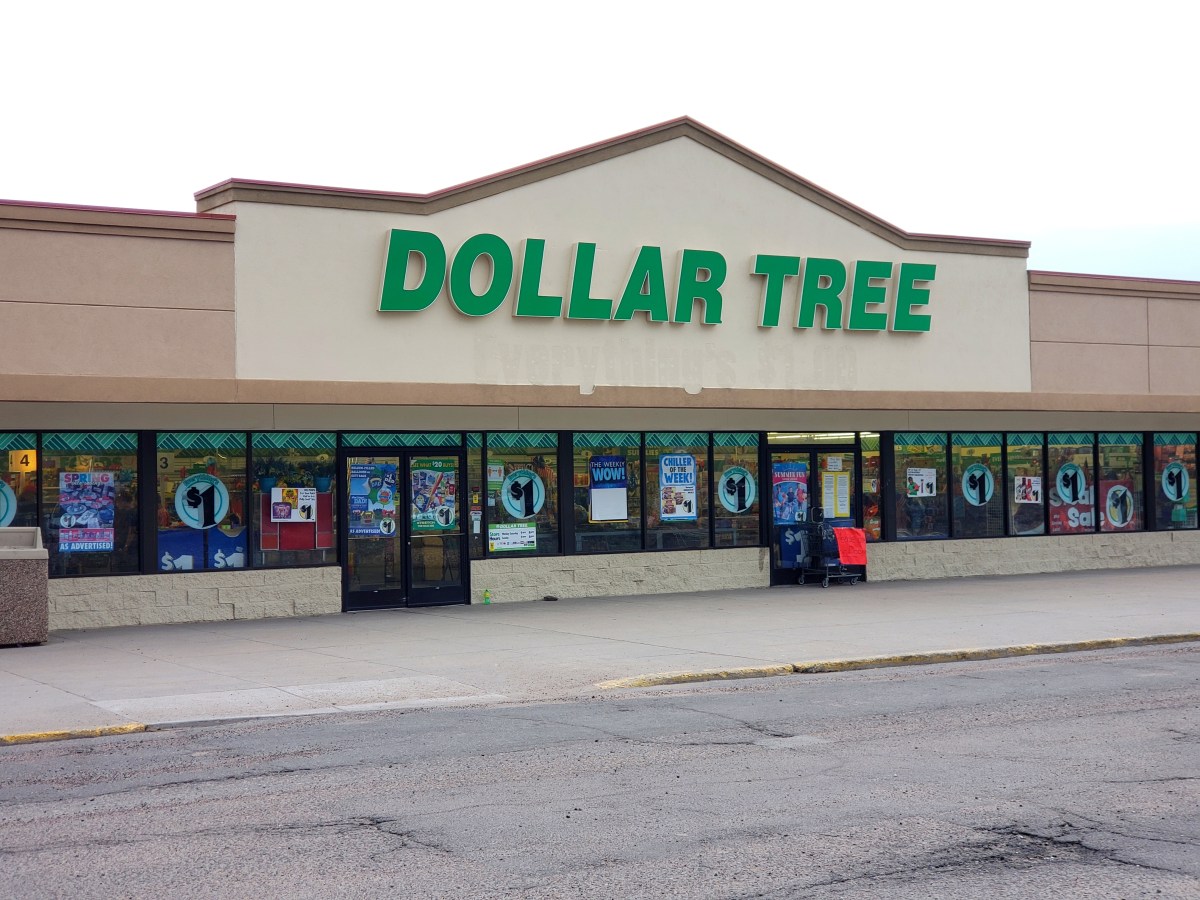 Dollar Tree y Dirt Cheap se suman al "apocalipsis minorista": qué ...